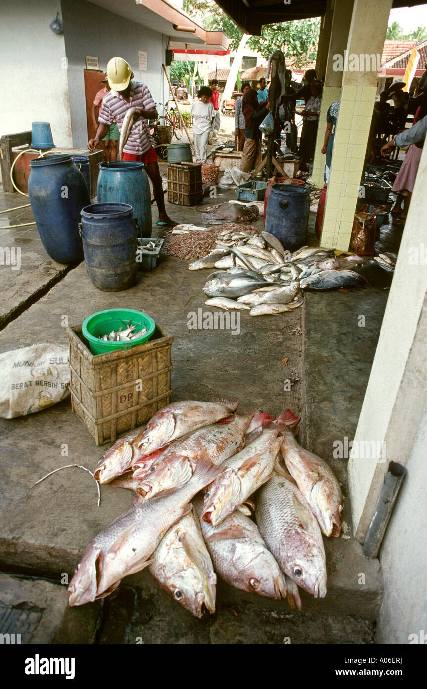 Indonesia Java Pangandaran fish market Stock Photo - Alamy