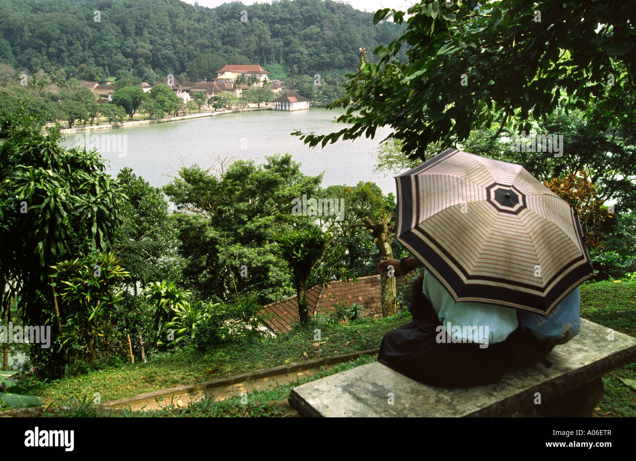 Sri Lanka Kandy Courting couple under umbrella for privacy overlooking ...