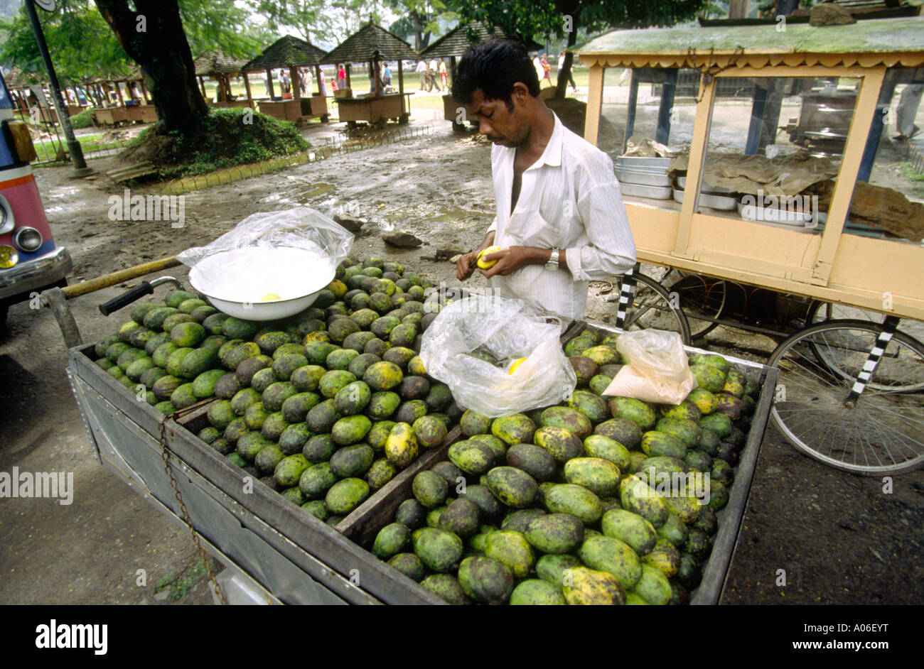 Sri Lanka Kandy Mango seller Stock Photo - Alamy