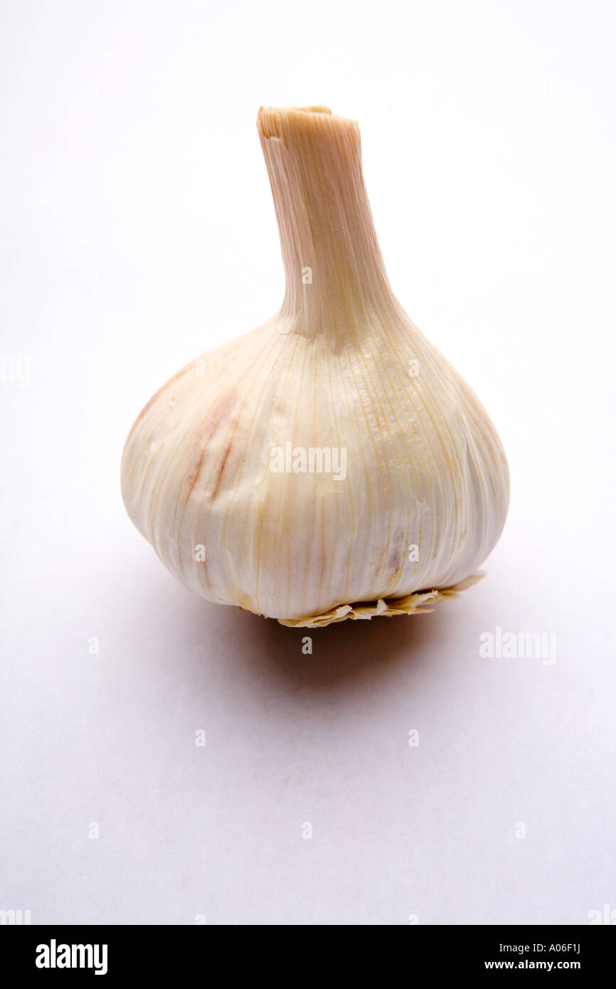 Garlic bulb isolated on a white studio background Stock Photo - Alamy