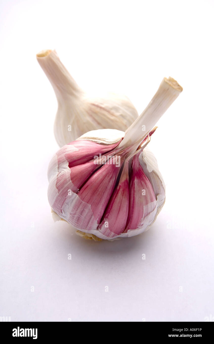 Garlic bulb on a white studio background Stock Photo - Alamy