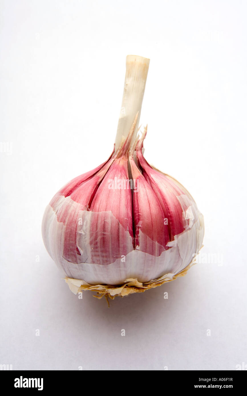 Garlic bulb on a white studio background Stock Photo - Alamy
