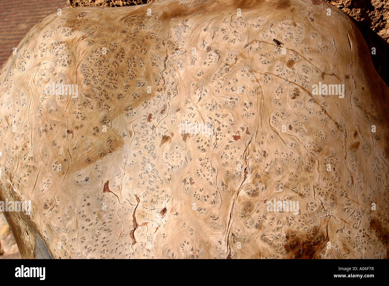 Moroccan cottage industry hi-res stock photography and images - Alamy