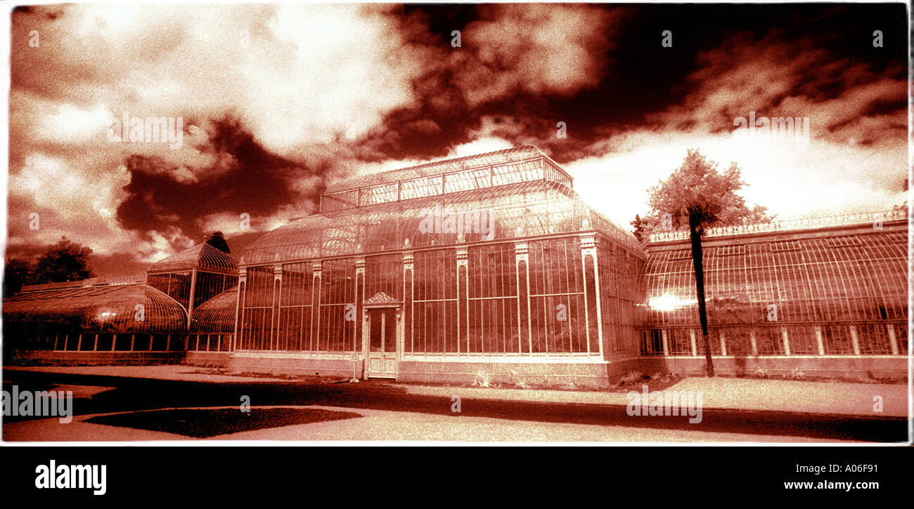 Glasshouse at the botanic Gardens Glassnevin Dublin Ireland Stock Photo ...