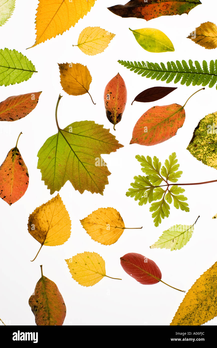 Patten colour hi-res stock photography and images - Alamy
