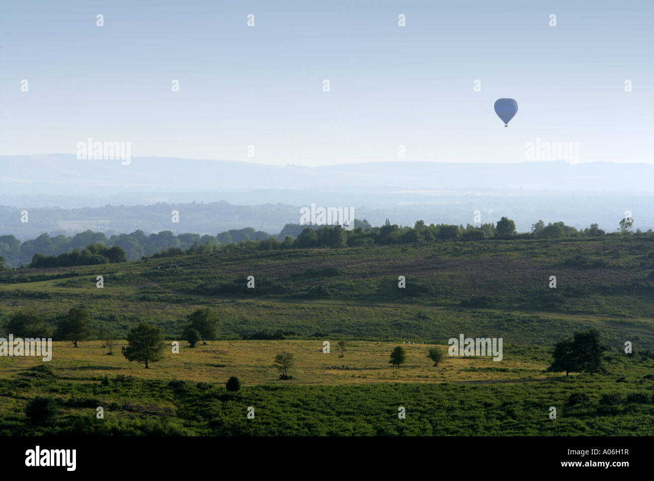 Ashdown hi-res stock photography and images - Alamy