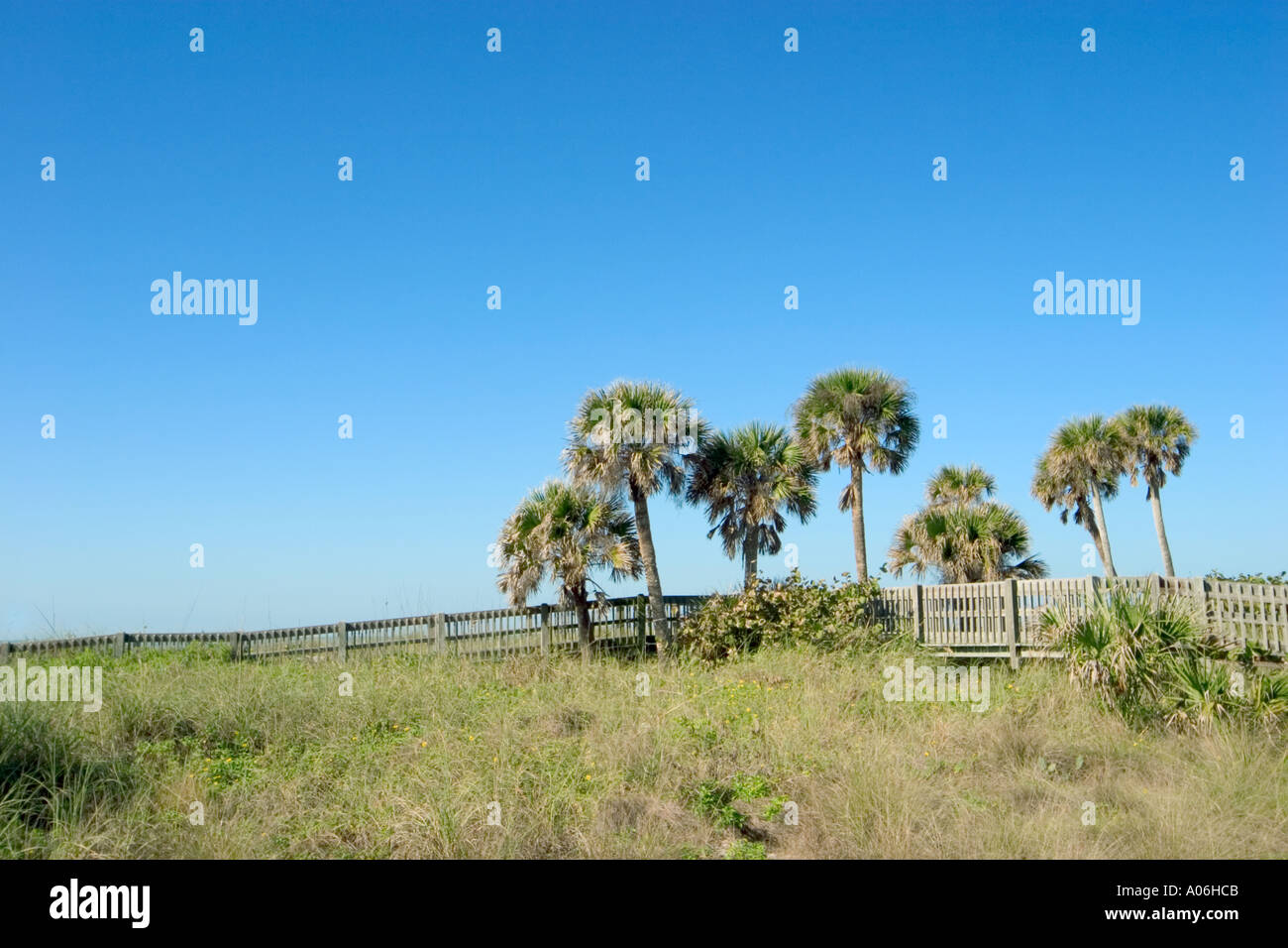 Blind Pass Beach Manasota Key Florida Stock Photo - Alamy