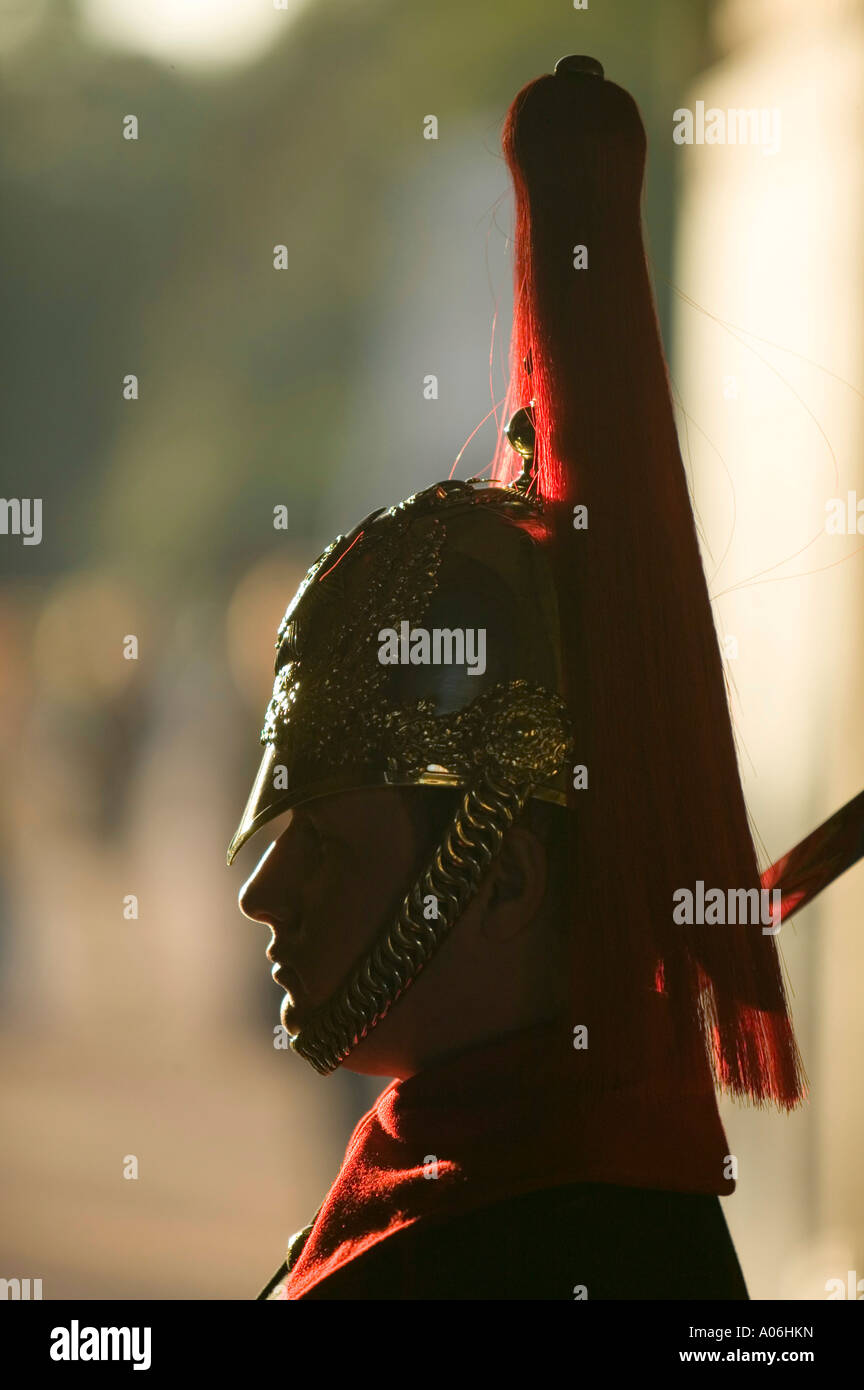 Household Cavalry guard in Whitehall, London, UK Stock Photo - Alamy