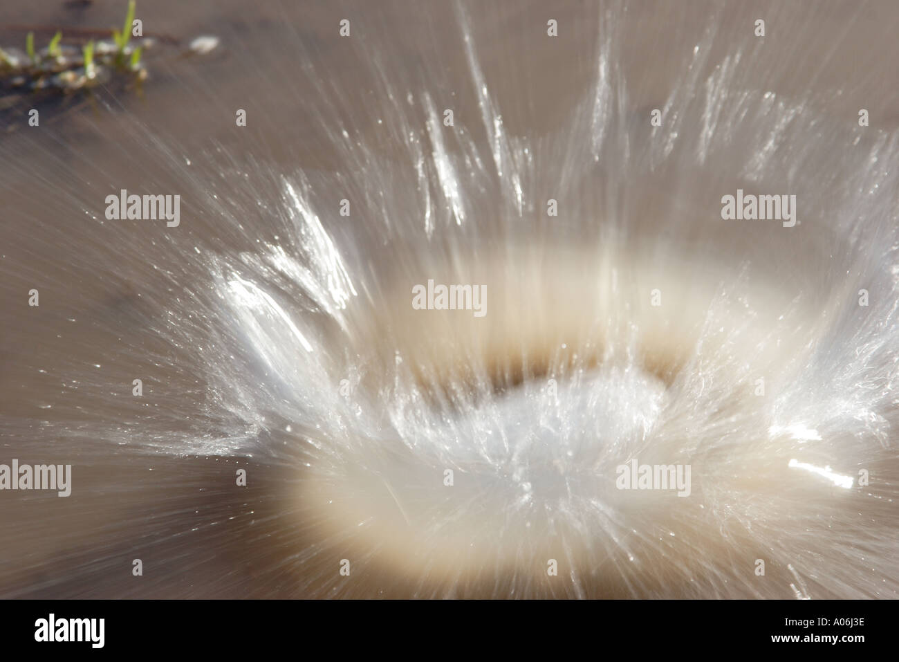 pebble splashing in puddle Stock Photo - Alamy