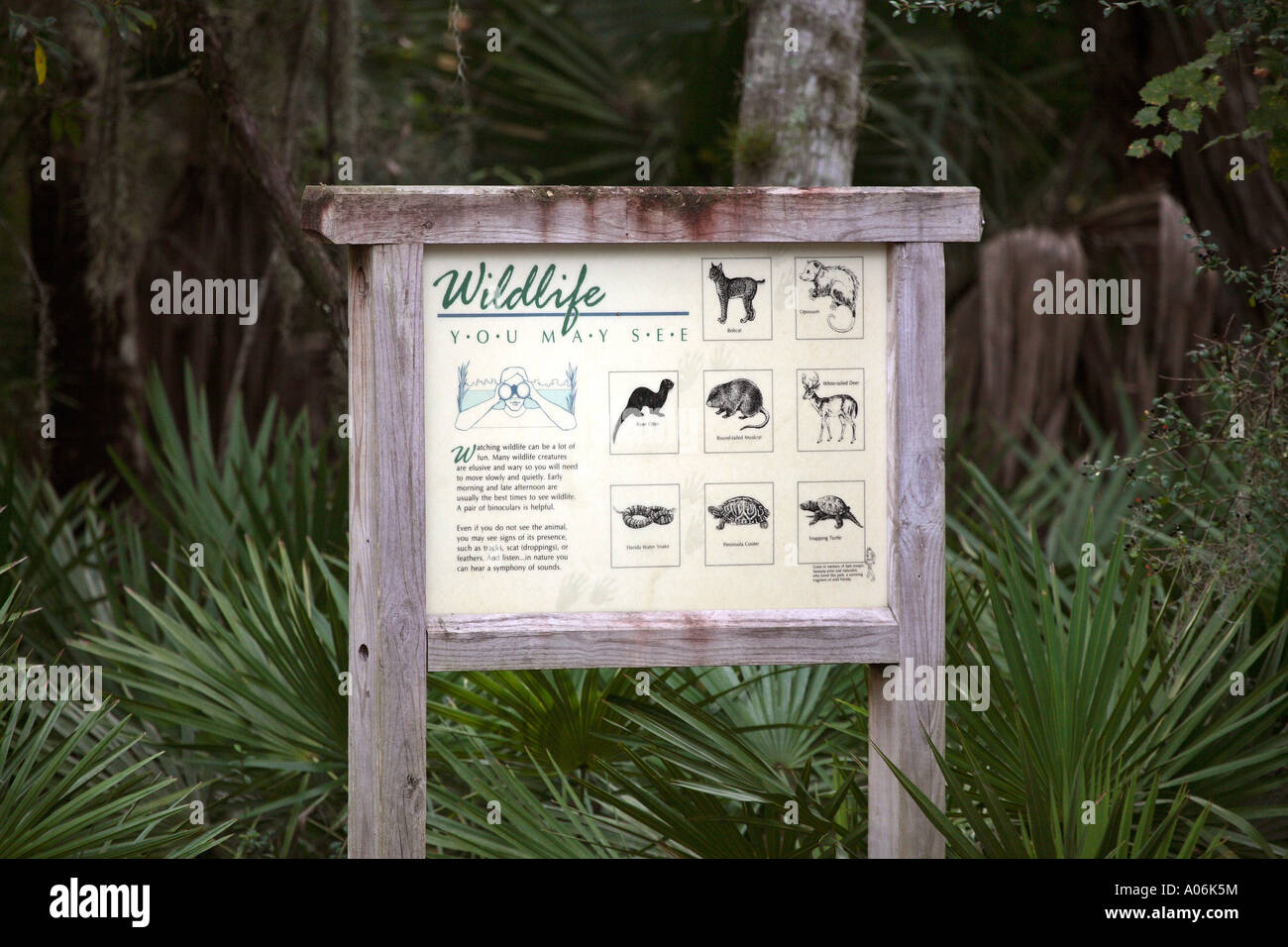 Wildlife sign at Myaka State Park in Florida Stock Photo - Alamy