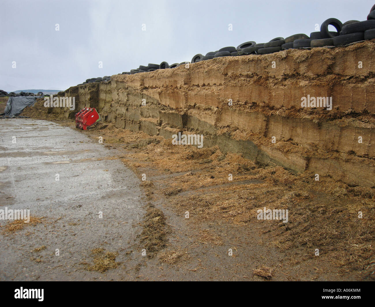Silage clamp dairy farm hi-res stock photography and images - Alamy