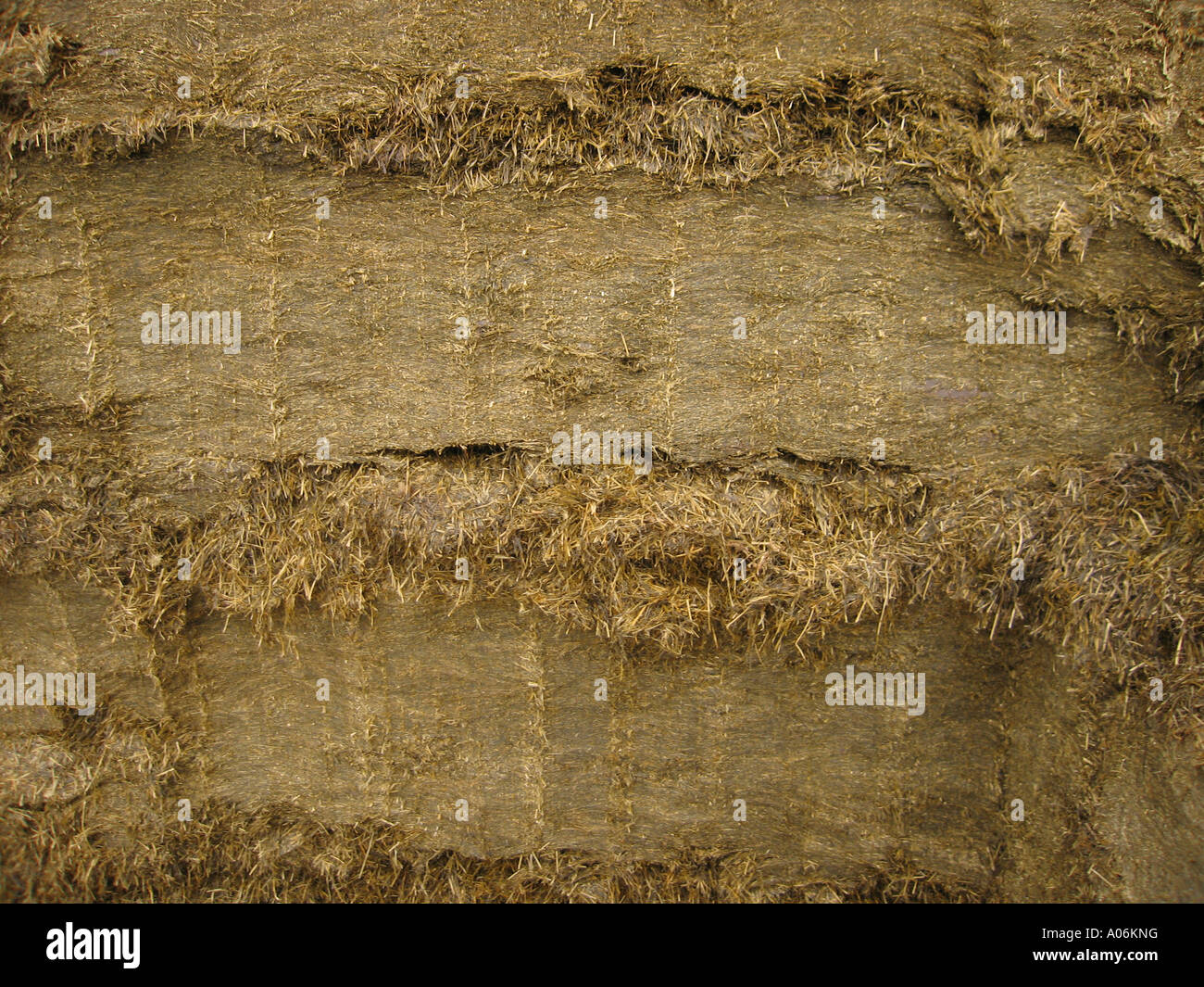 A silage clamp in England in the UK used for feeding cows Stock Photo ...