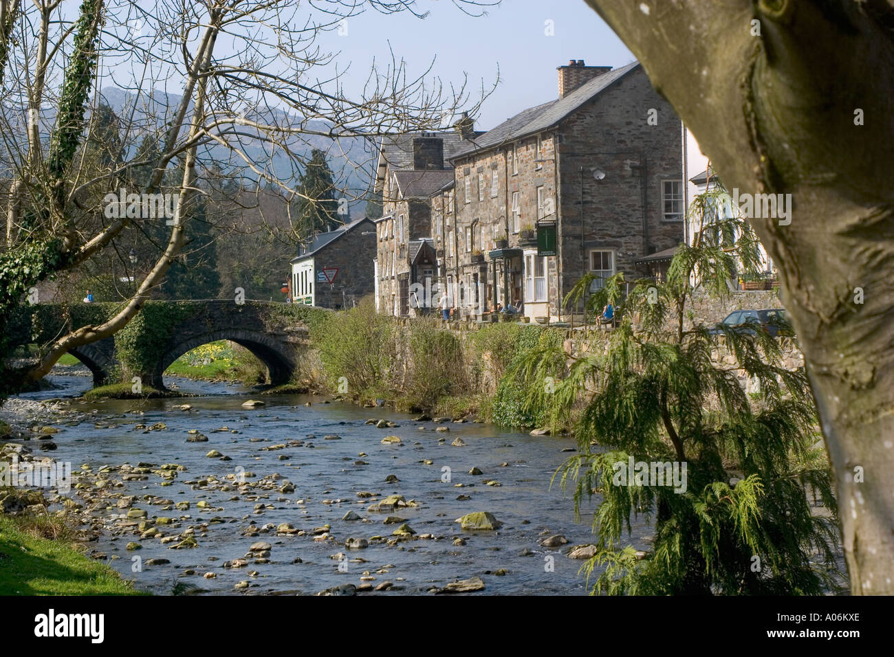 Beddgelert dog hi-res stock photography and images - Alamy