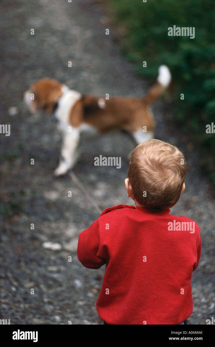 Child chasing dog hi-res stock photography and images - Alamy