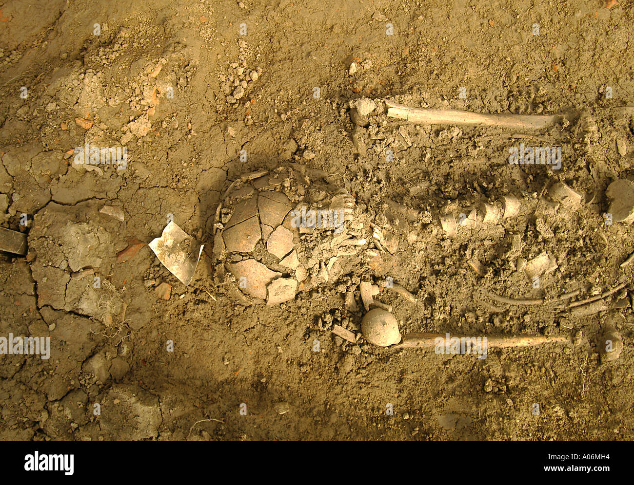Roman skeletal remains Umbria Italy Stock Photo - Alamy
