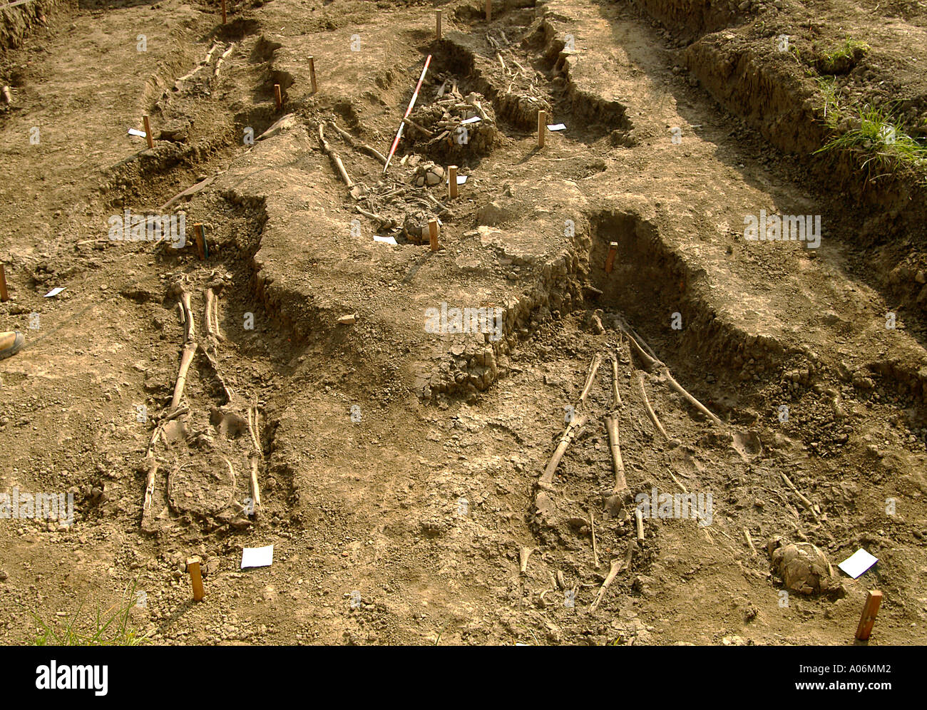 Roman skeletal remains Umbria Italy Burial Site Stock Photo - Alamy