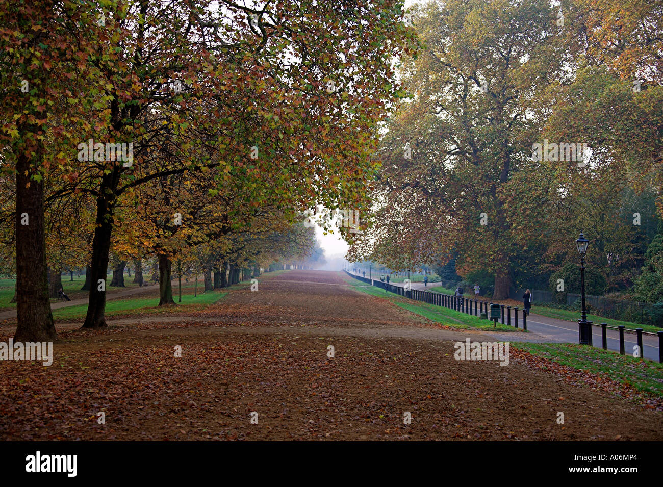 Rotten Row Hyde Park London Stock Photo - Alamy
