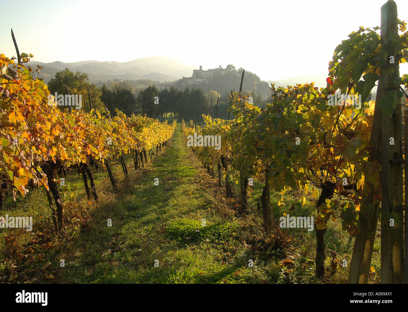 Monterchi tuscany hi-res stock photography and images - Alamy