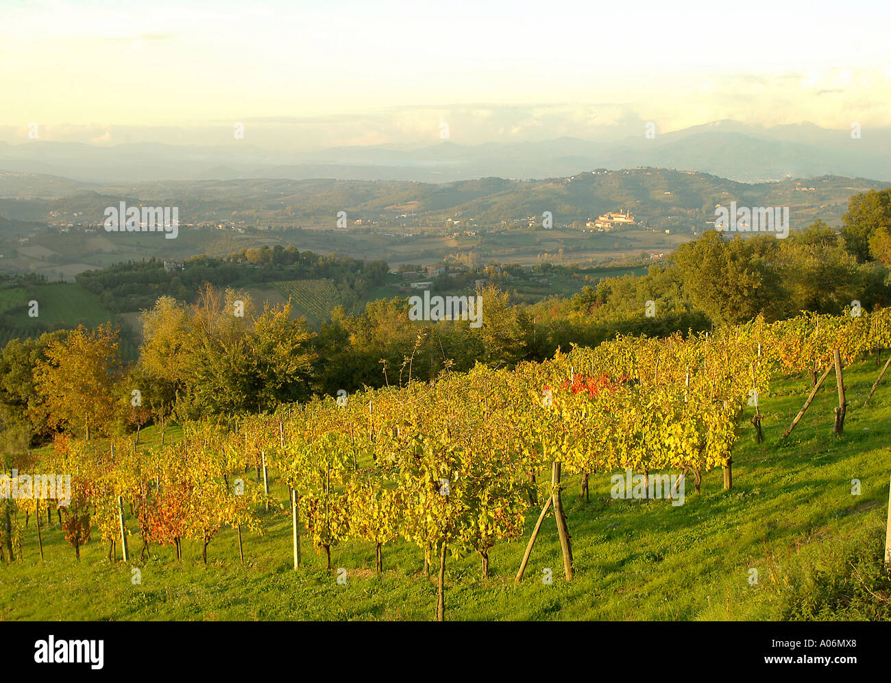Monterchi Umbria High Resolution Stock Photography and Images - Alamy