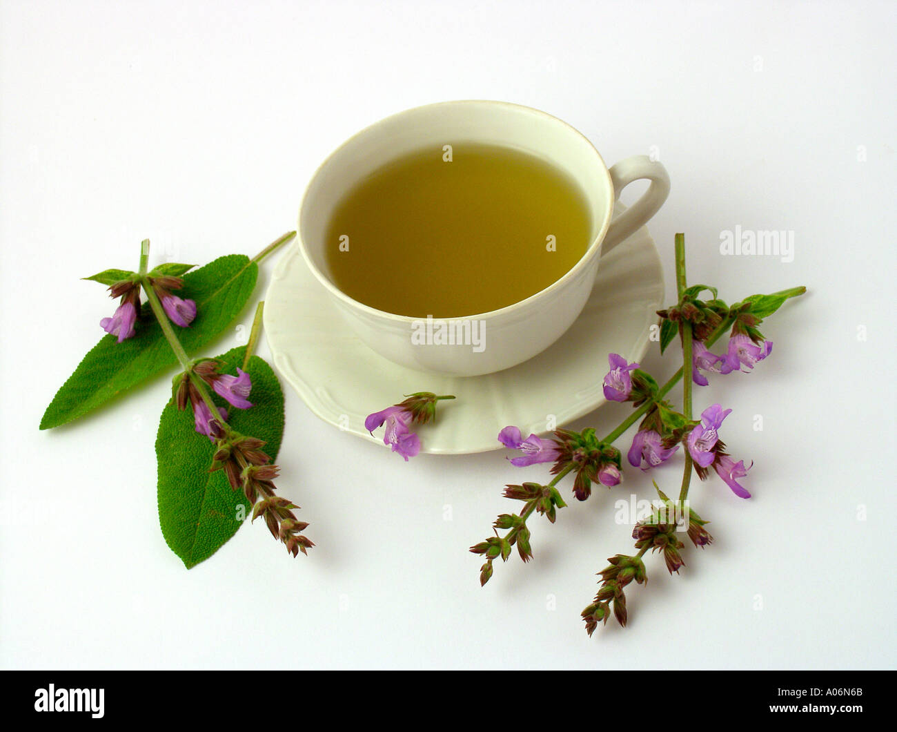 Sage infusion Salvia officinalis Stock Photo - Alamy