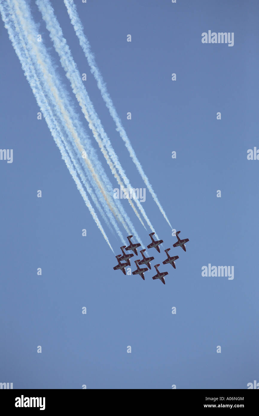 Snowbirds Aerobatics Team in flight formation Stock Photo - Alamy