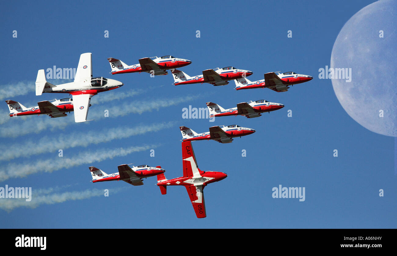 Team canada moose hi-res stock photography and images - Alamy