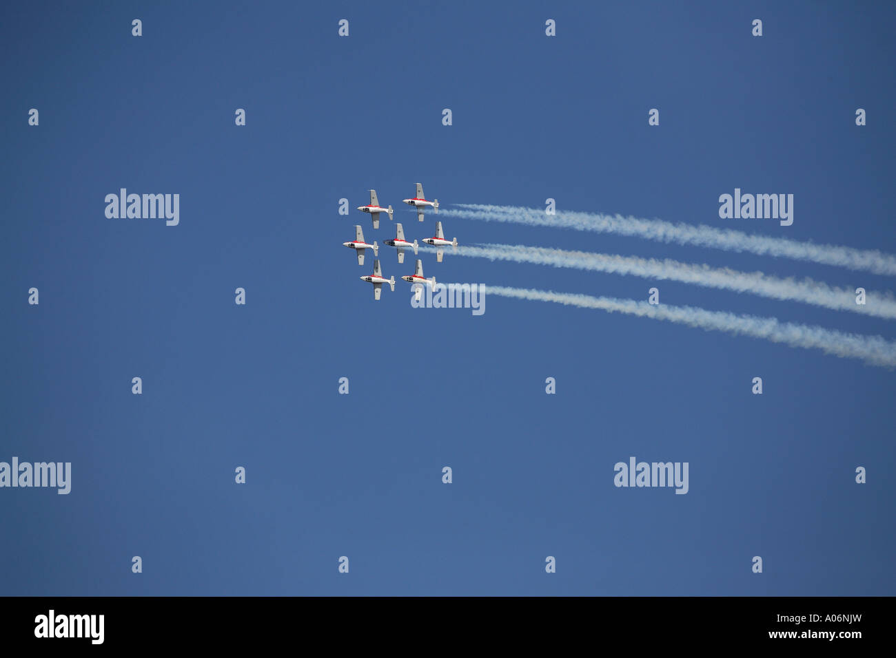 Snowbirds Aerobatics Team in flight formation Stock Photo - Alamy
