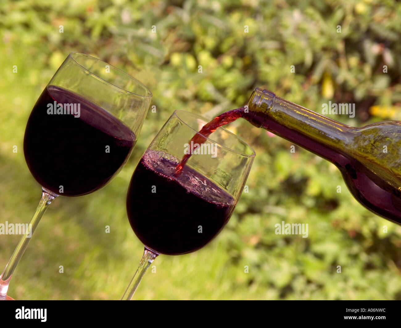 Full body wine hi-res stock photography and images - Alamy