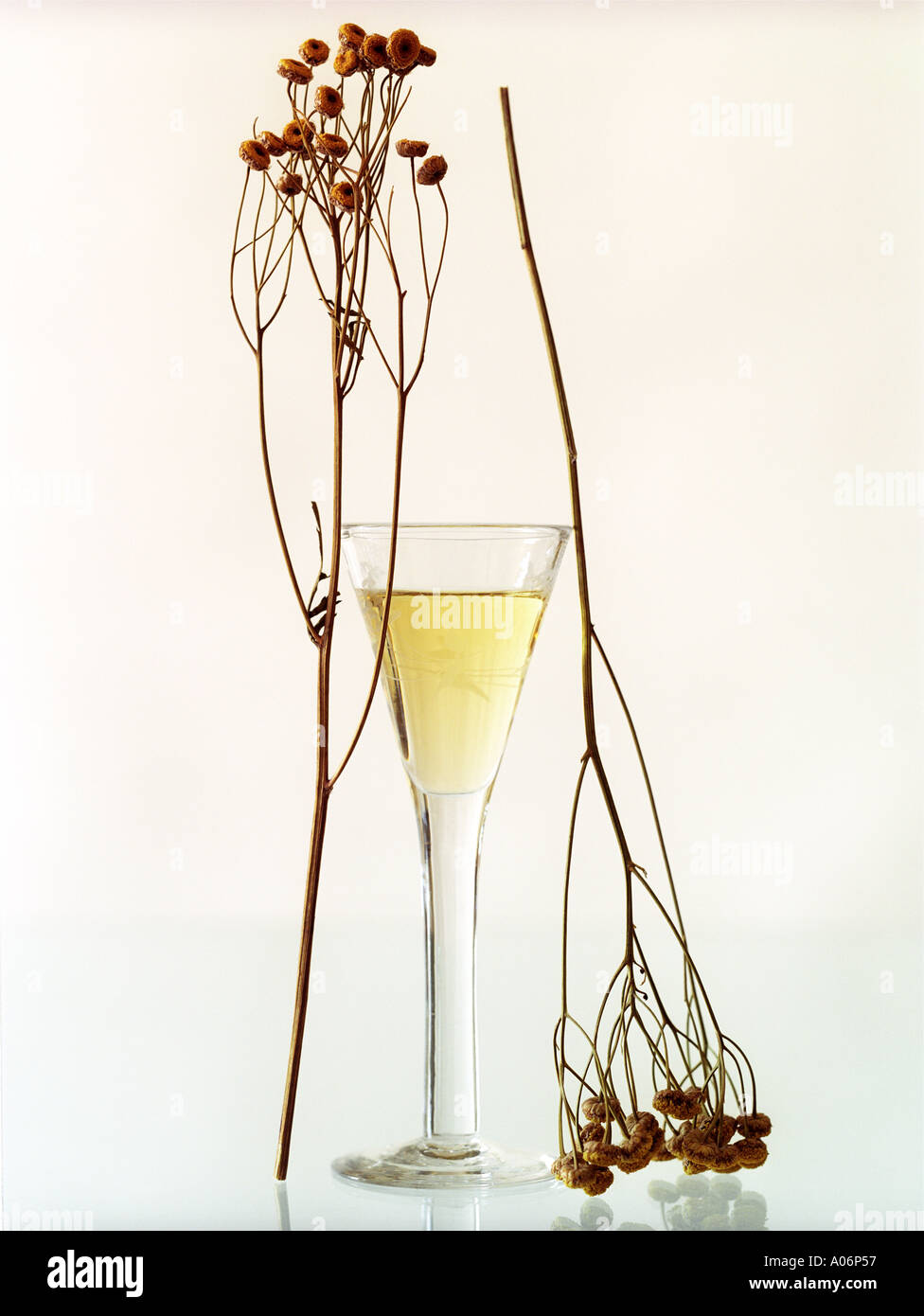 Glass of aquavit hi-res stock photography and images - Alamy