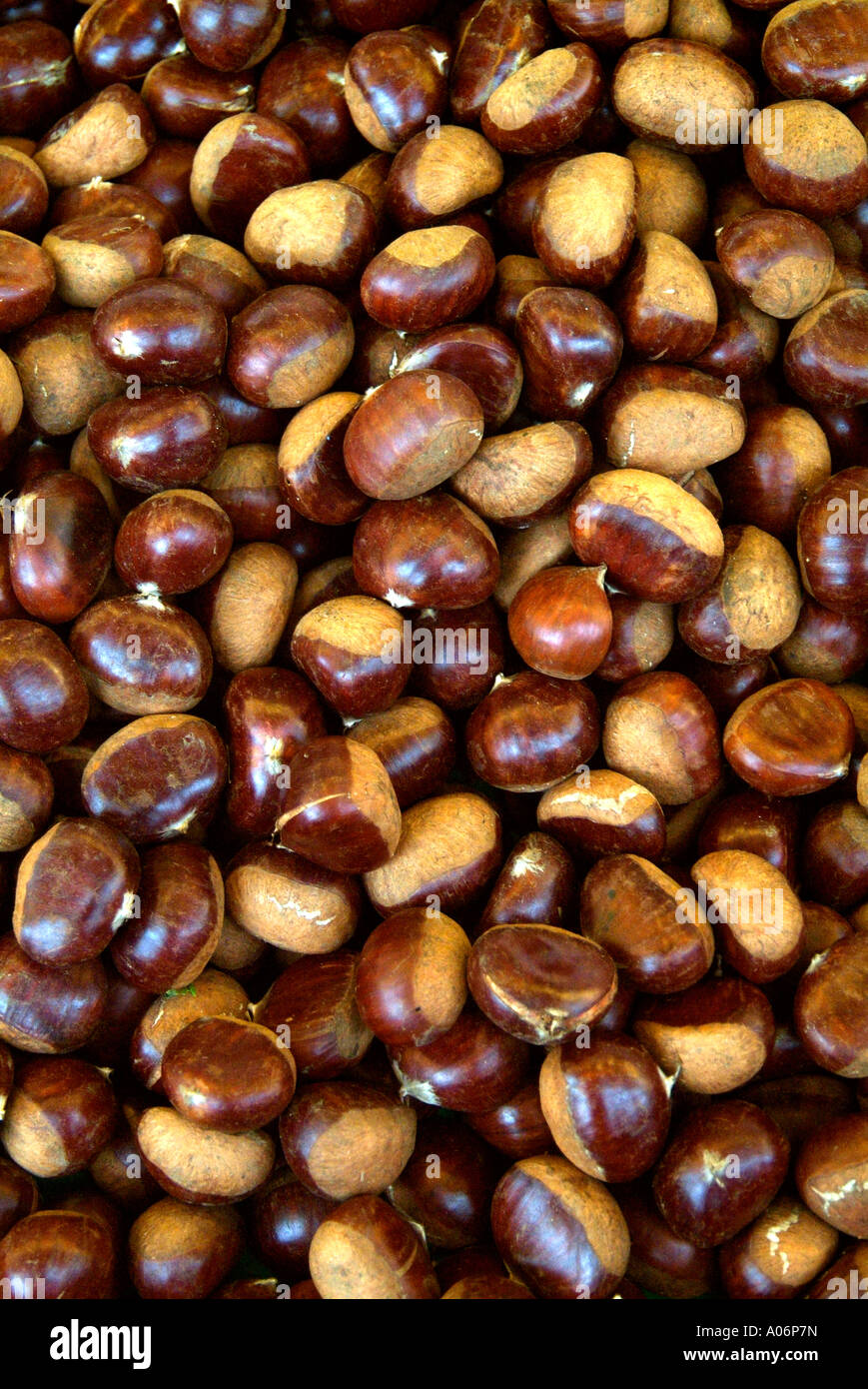 sweet chestnut nut nuts shell seed snack kernel whole wholesome natural ...