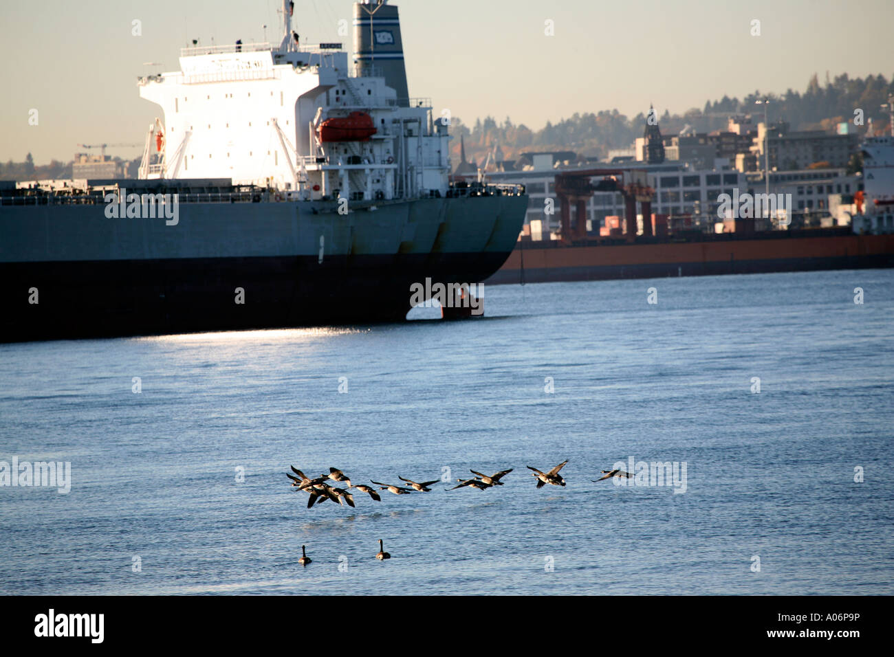 Cargo ship in Barrard Inlet Stock Photo - Alamy