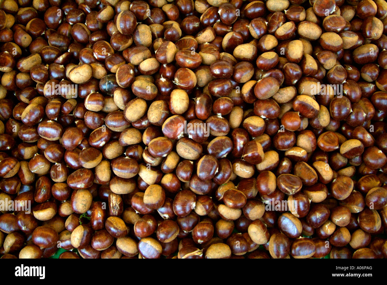 sweet chestnut nut nuts shell seed snack kernel whole wholesome natural ...