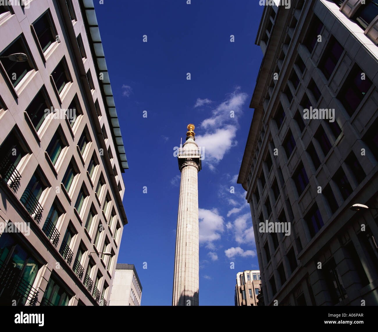 Monument column City of London designed by sir christopher wren to ...