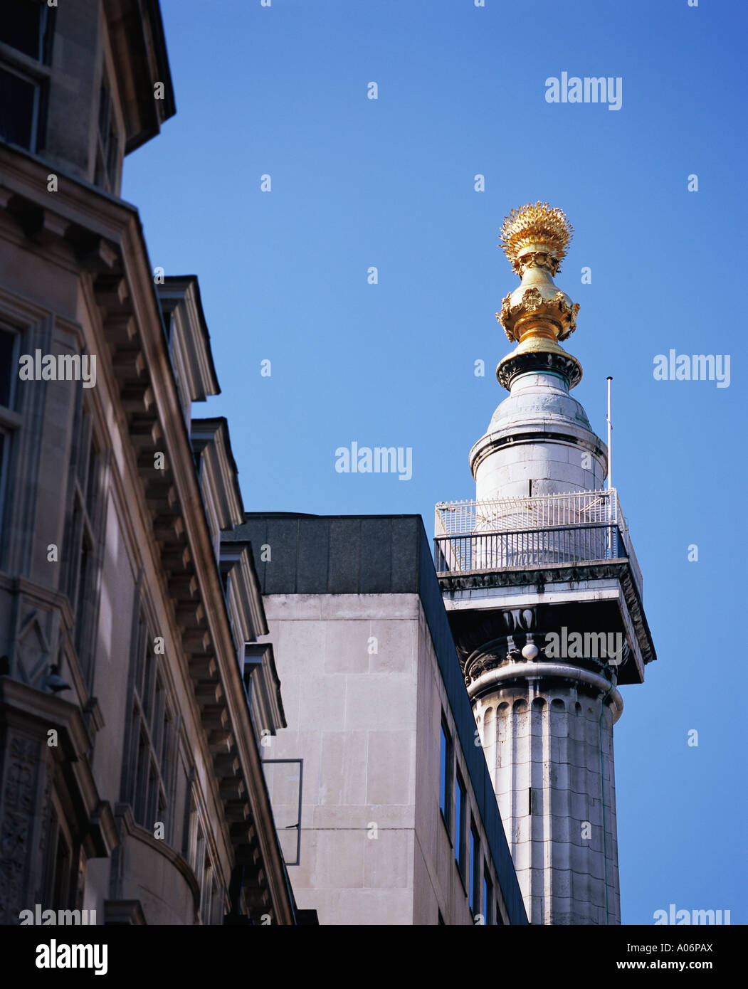 Monument column City of London designed by sir christopher wren to ...