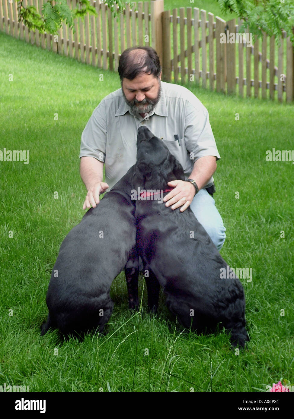 Pets man hi-res stock photography and images - Alamy