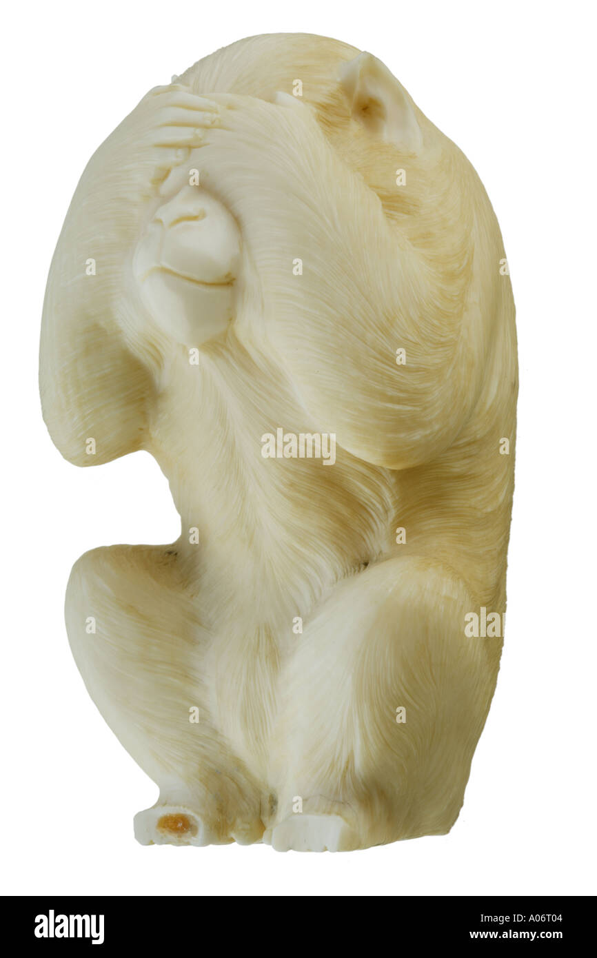 Say no to ivory hi-res stock photography and images - Alamy