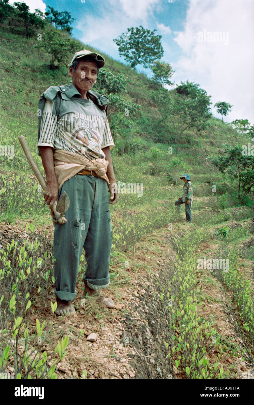 Chapare bolivia hi-res stock photography and images - Alamy
