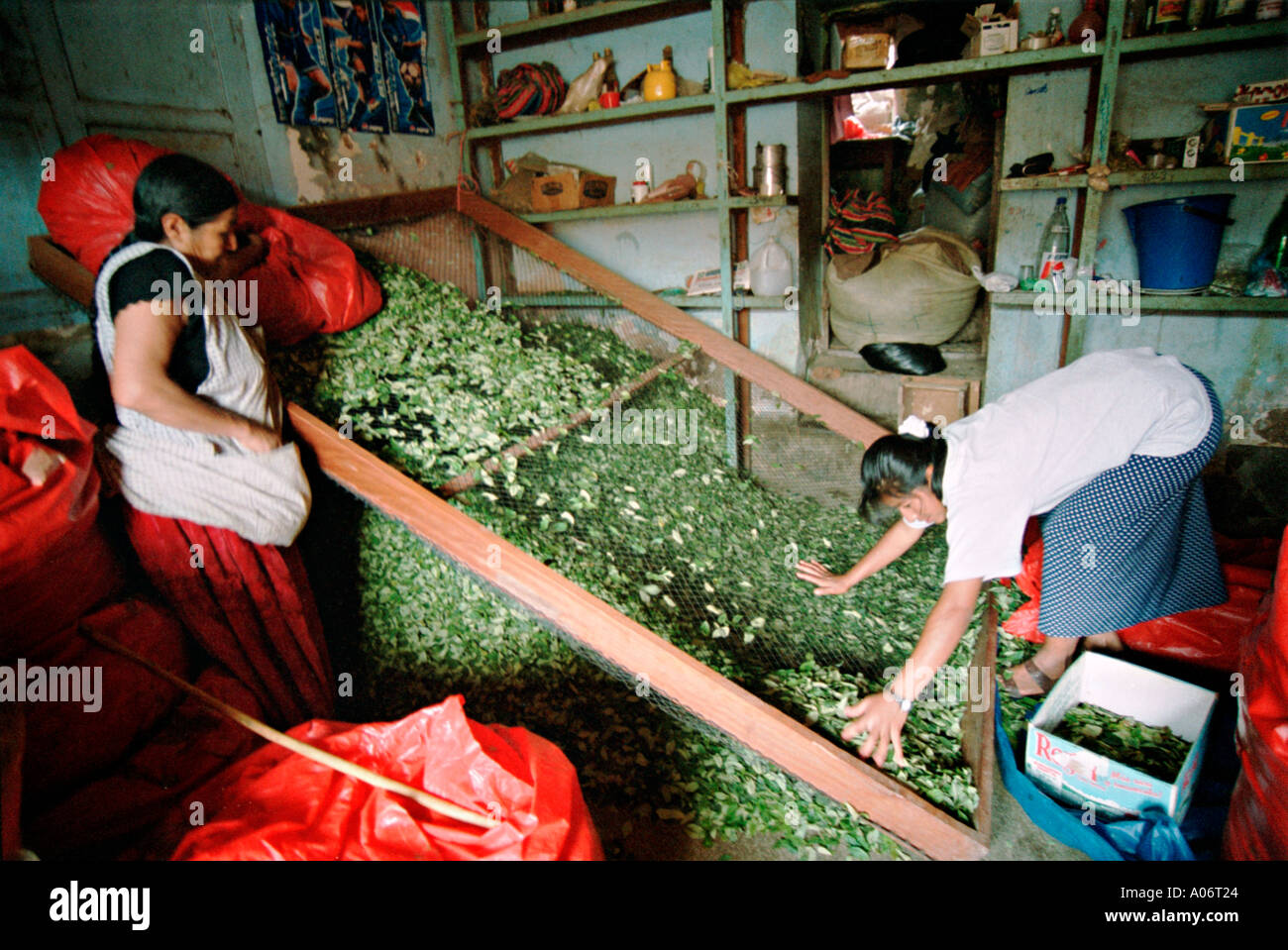 Chapare bolivia hi-res stock photography and images - Alamy