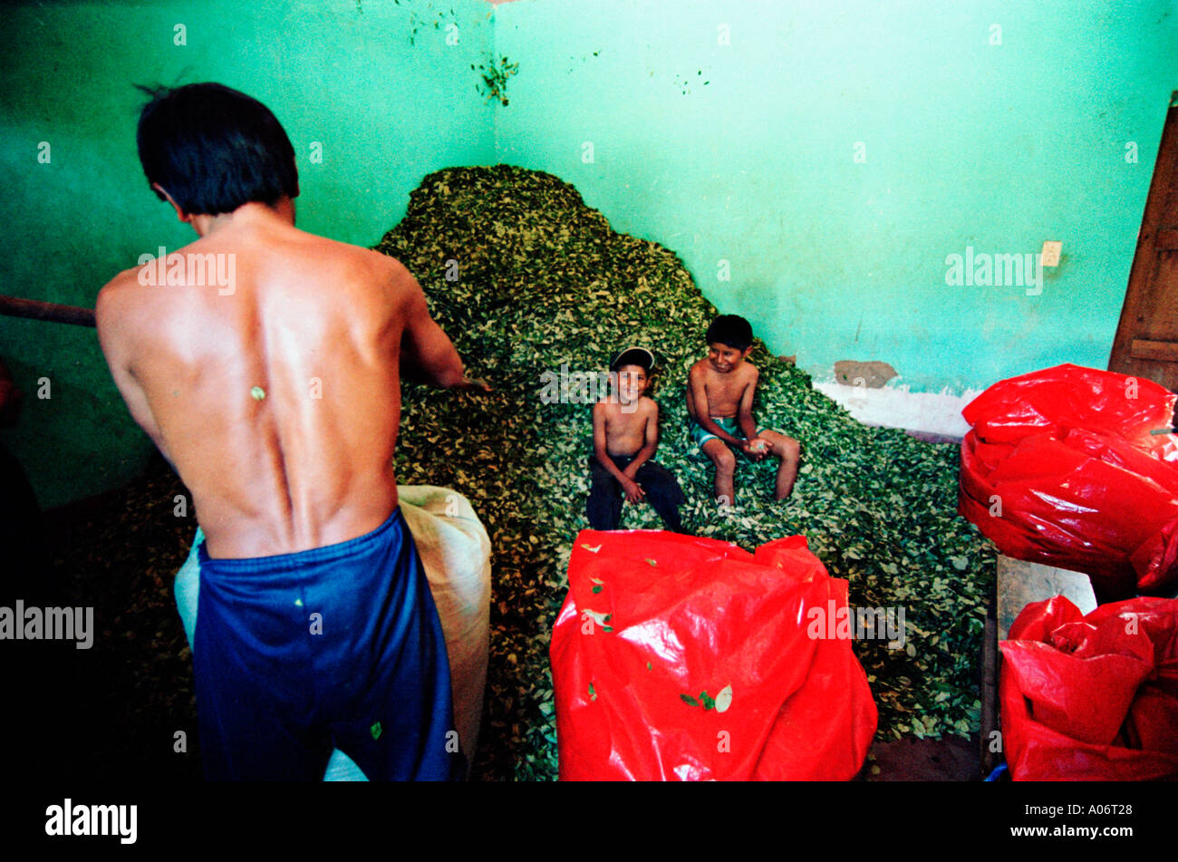 Chapare bolivia hi-res stock photography and images - Alamy