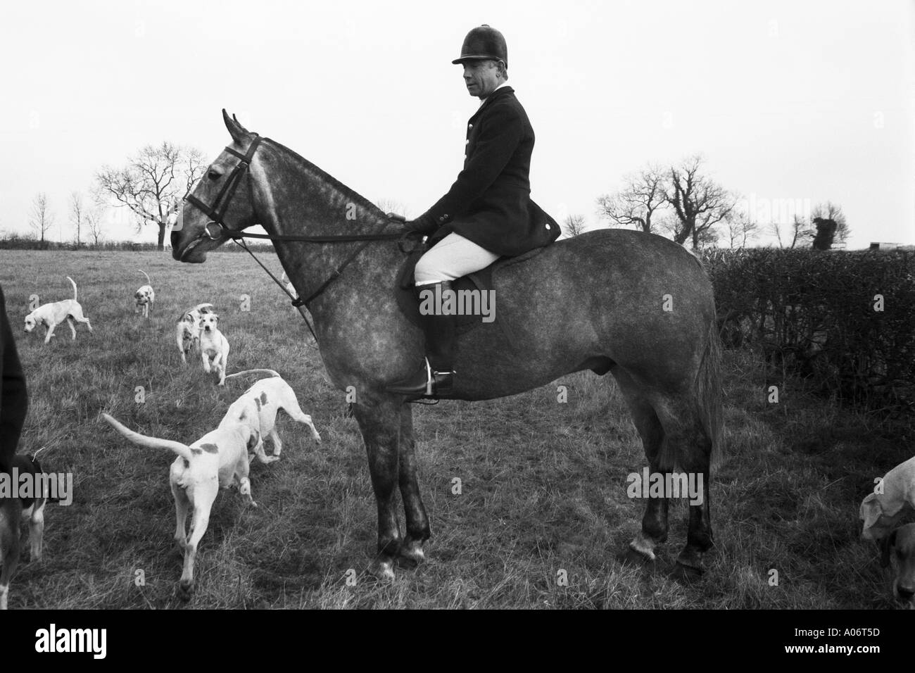 Banned fox hunting Black and White Stock Photos & Images - Alamy