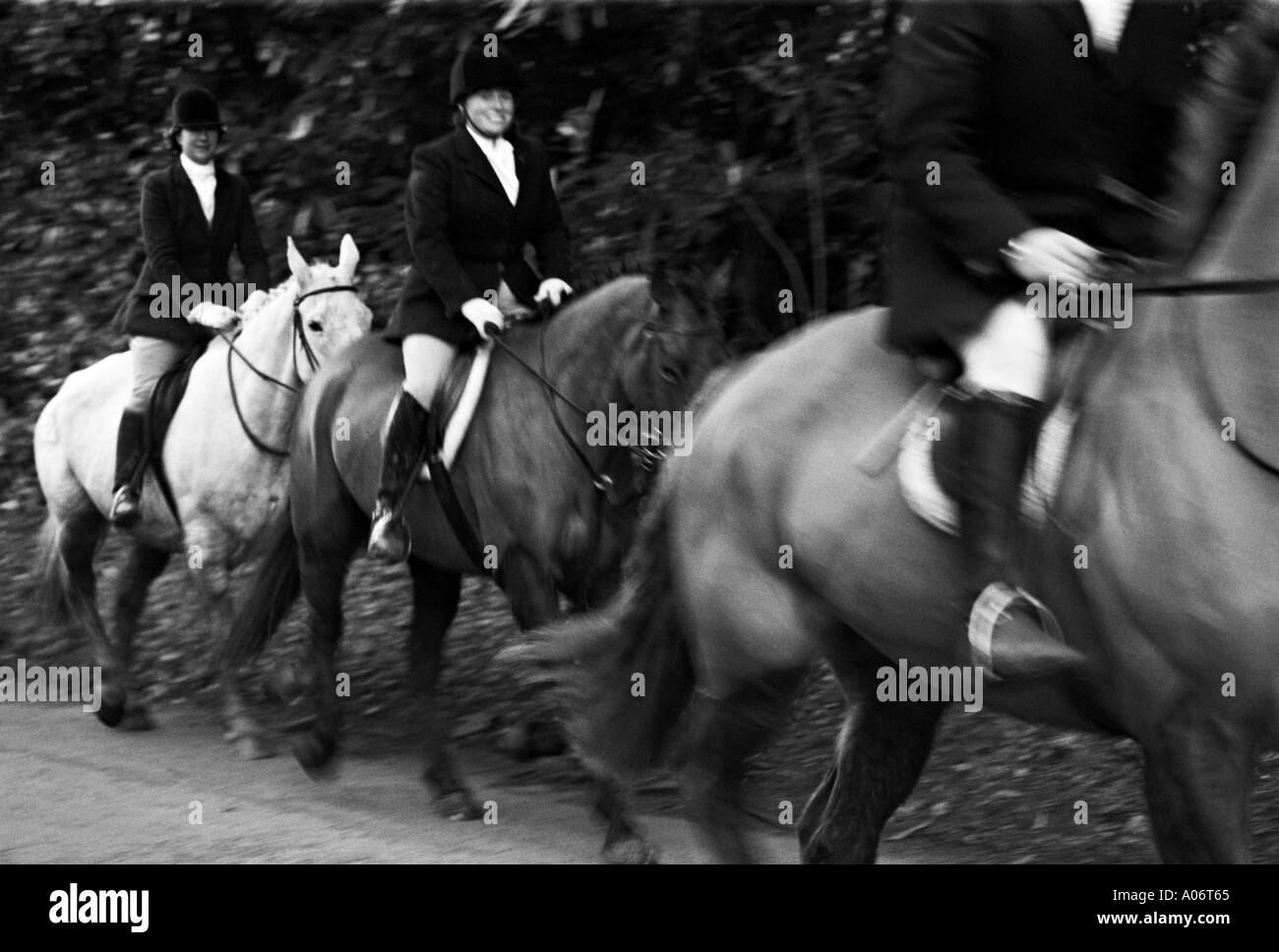 Pro fox hunting Black and White Stock Photos & Images - Alamy