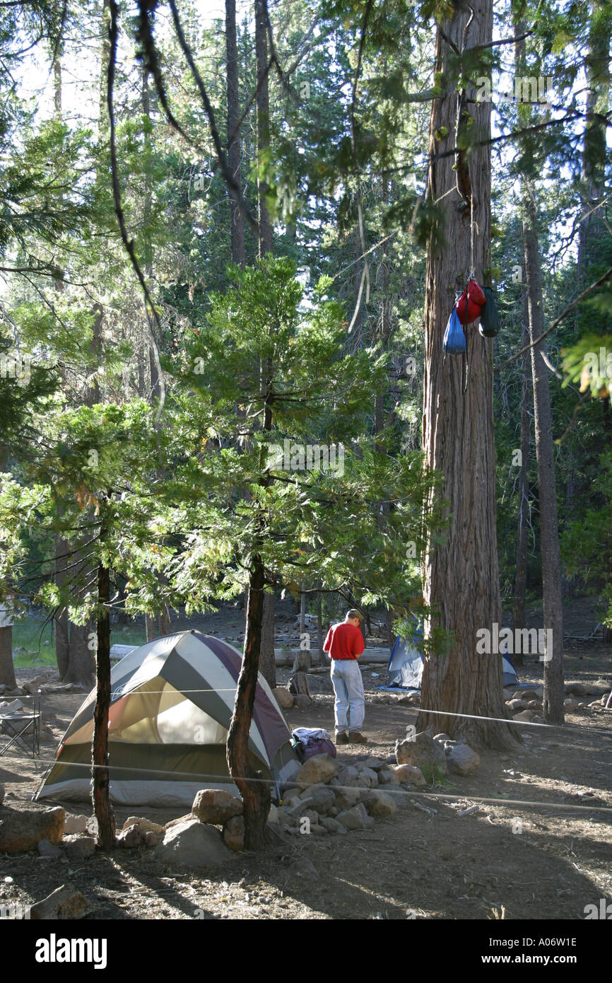tent camping in the woods in the High Sierra mountains in California ...