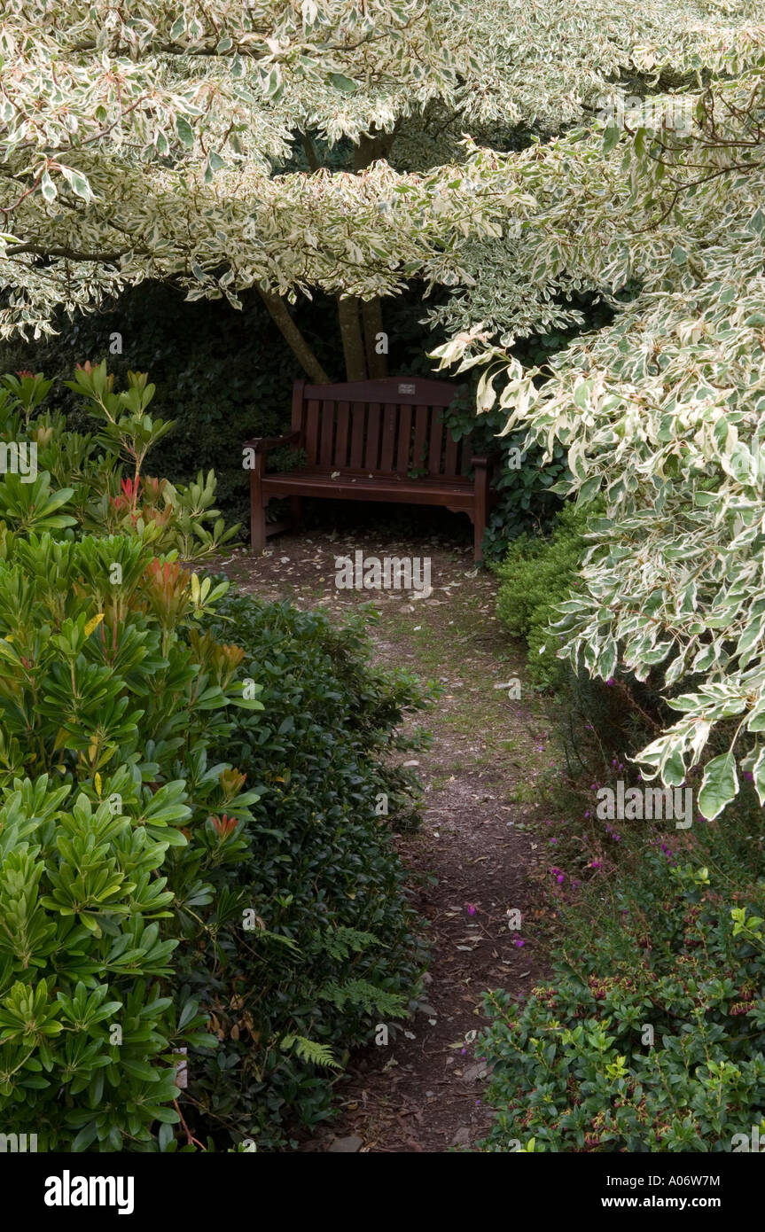 A bench in a secluded spot The Garden House Buckland Monachorum ...