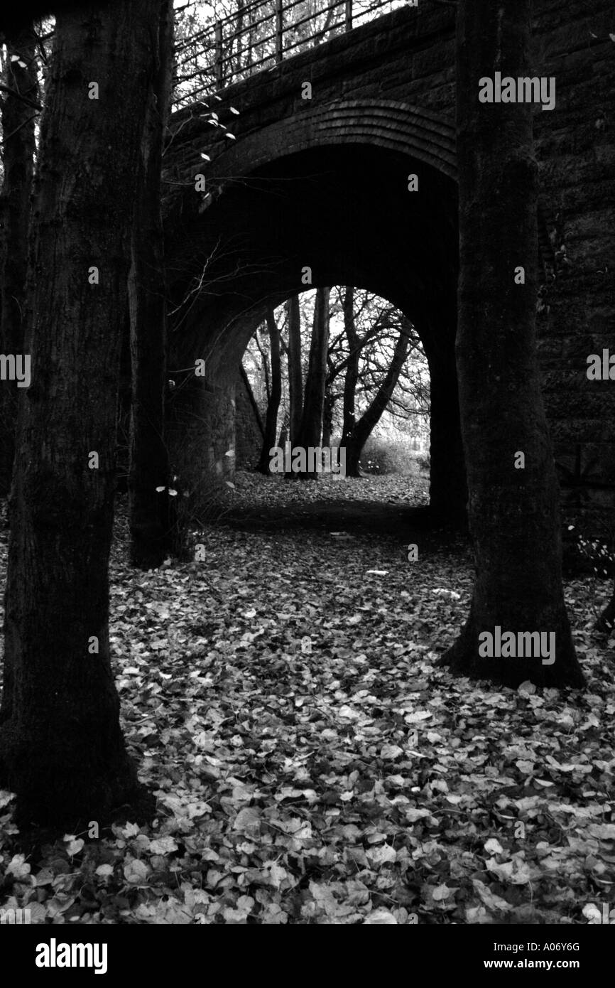 Fall into disuse Black and White Stock Photos & Images - Alamy