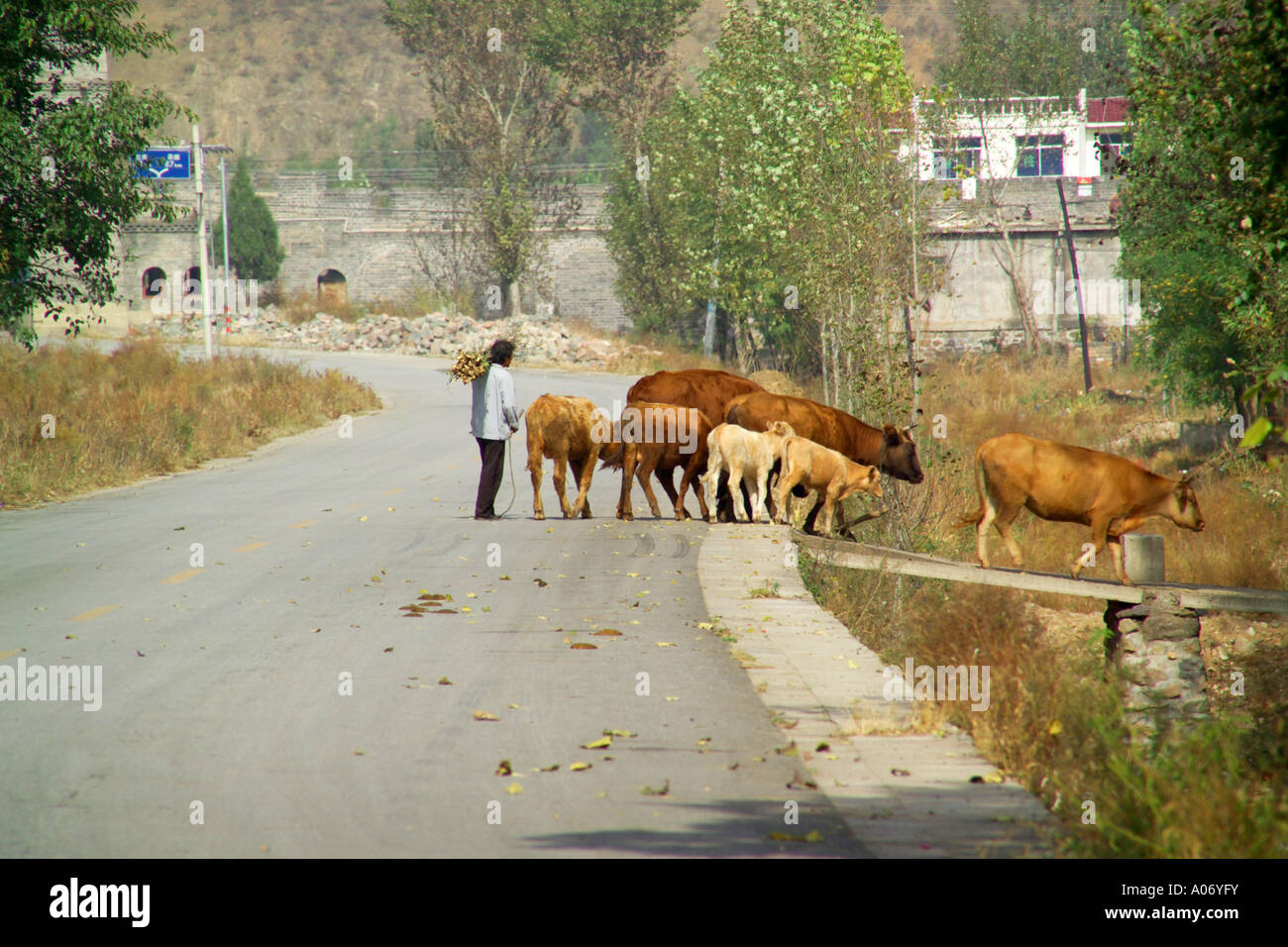 Chinese rural life Stock Photo - Alamy