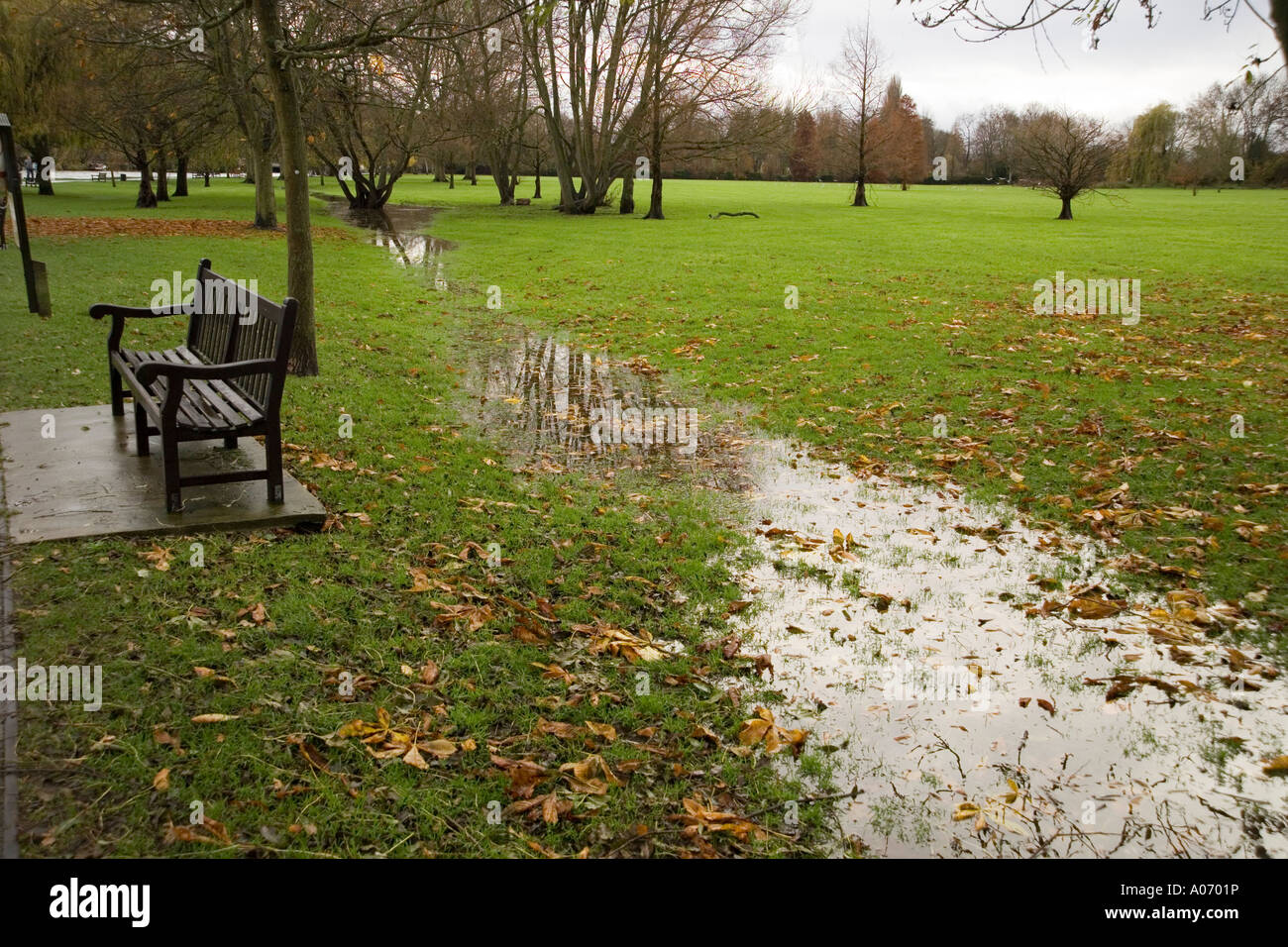 Bench flooded by the rain hi-res stock photography and images - Alamy