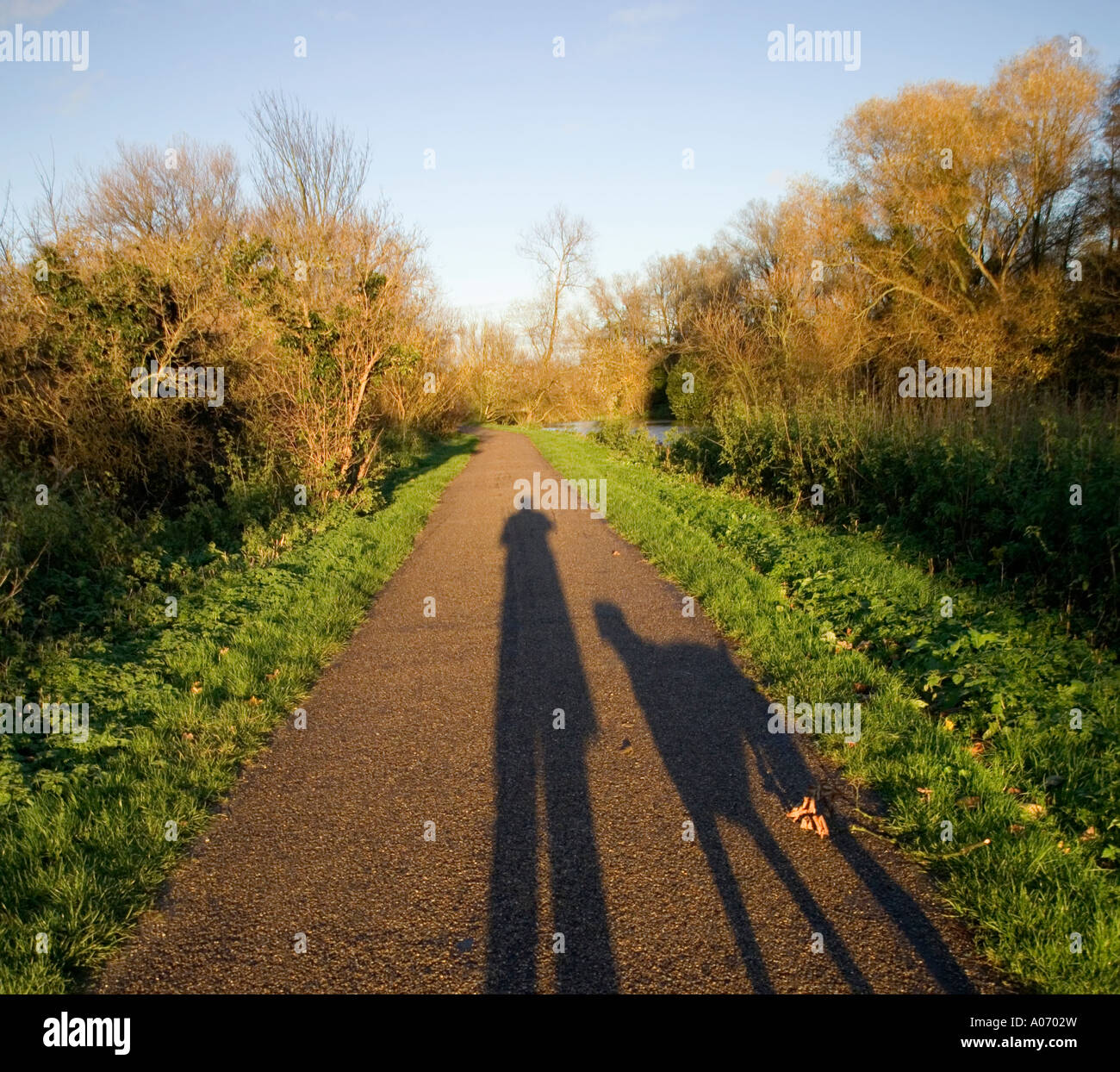 Long shadow of man and dog hi-res stock photography and images - Alamy