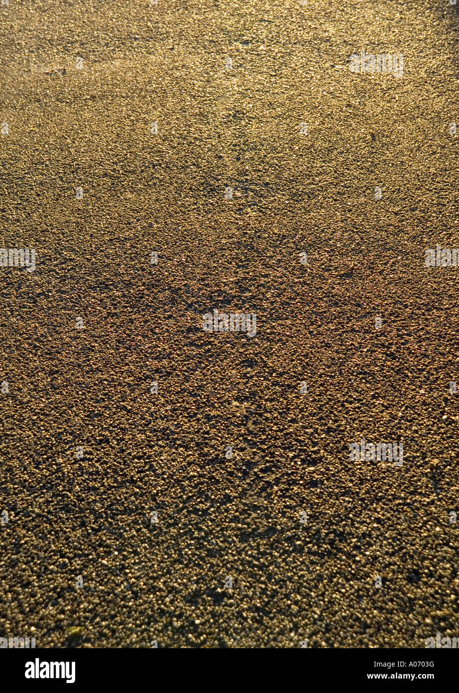 Path black hi-res stock photography and images - Alamy