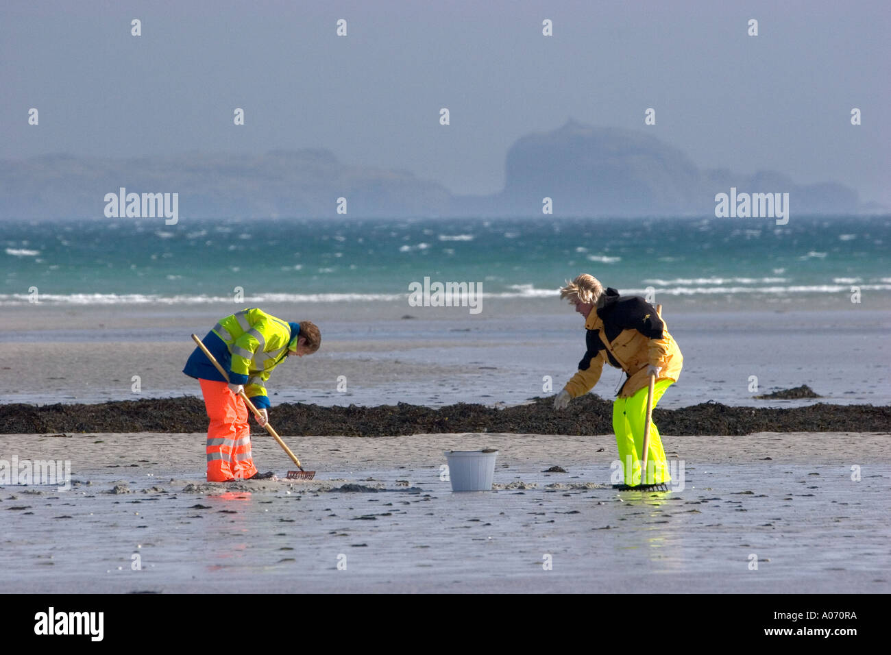 Cockle picking hi-res stock photography and images - Alamy