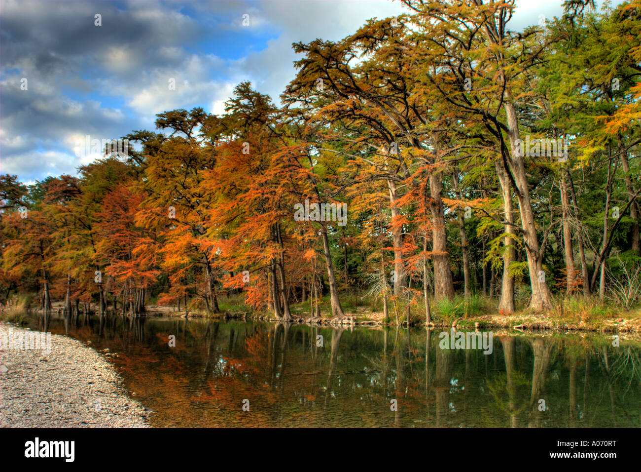 Texas hill country river with Cypress Trees Stock Photo - Alamy